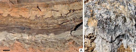 STOP 10. Burrowing the Armorican Quartzite – Las Amoladeras TOP
